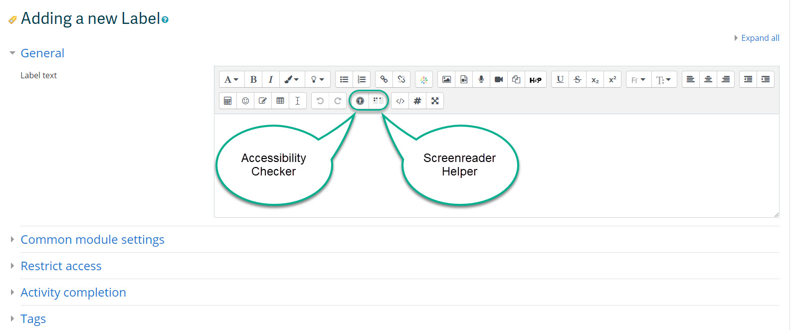 Accessibility & Universal Design for Learning Guide – LT&I Tool Kit